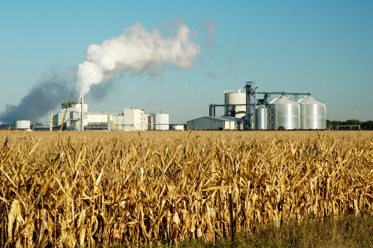 Preventing Phase Separation in Ethanol Gas for Small Engines